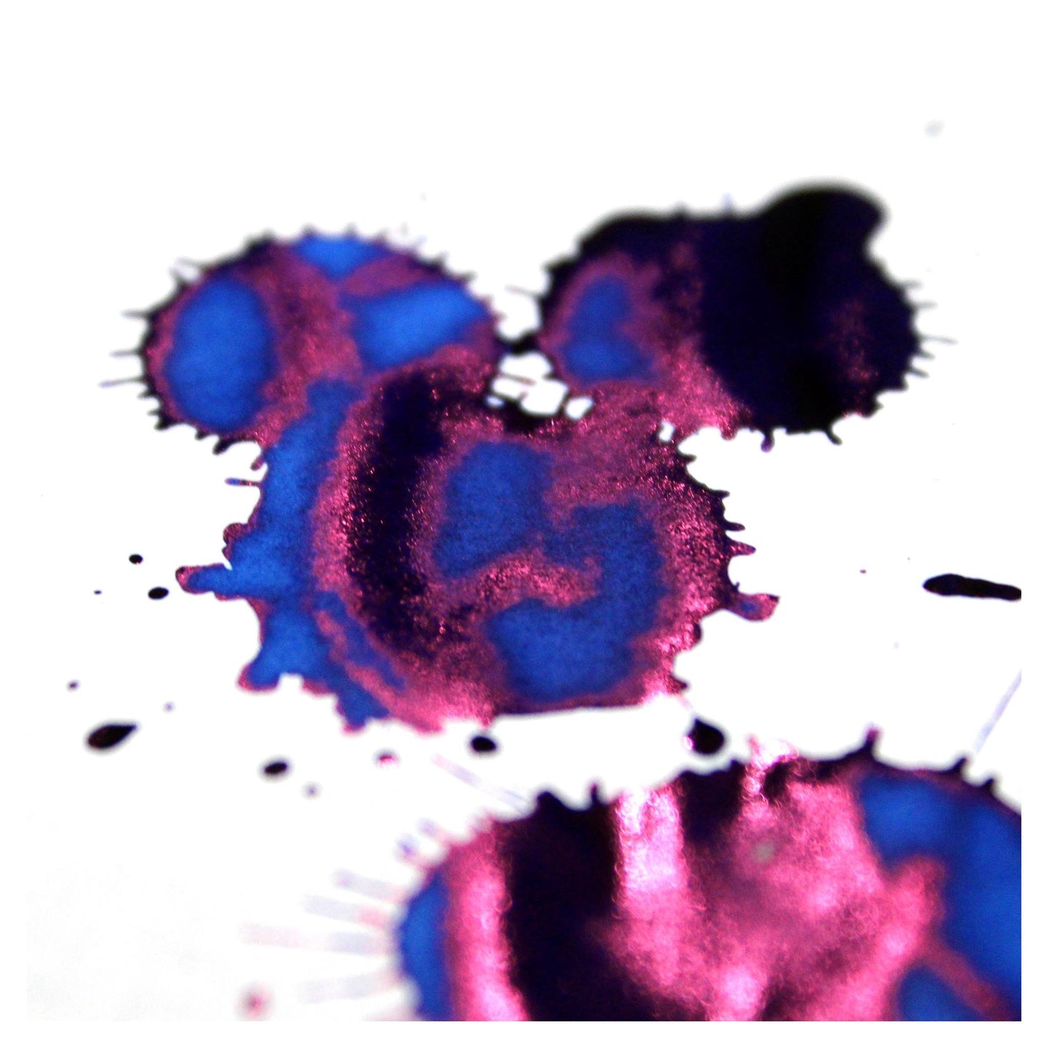 TROUBLEMAKER Ink BASILICA Red Fountain Pen Ink Handmade Dip Pen Ink Ha ...